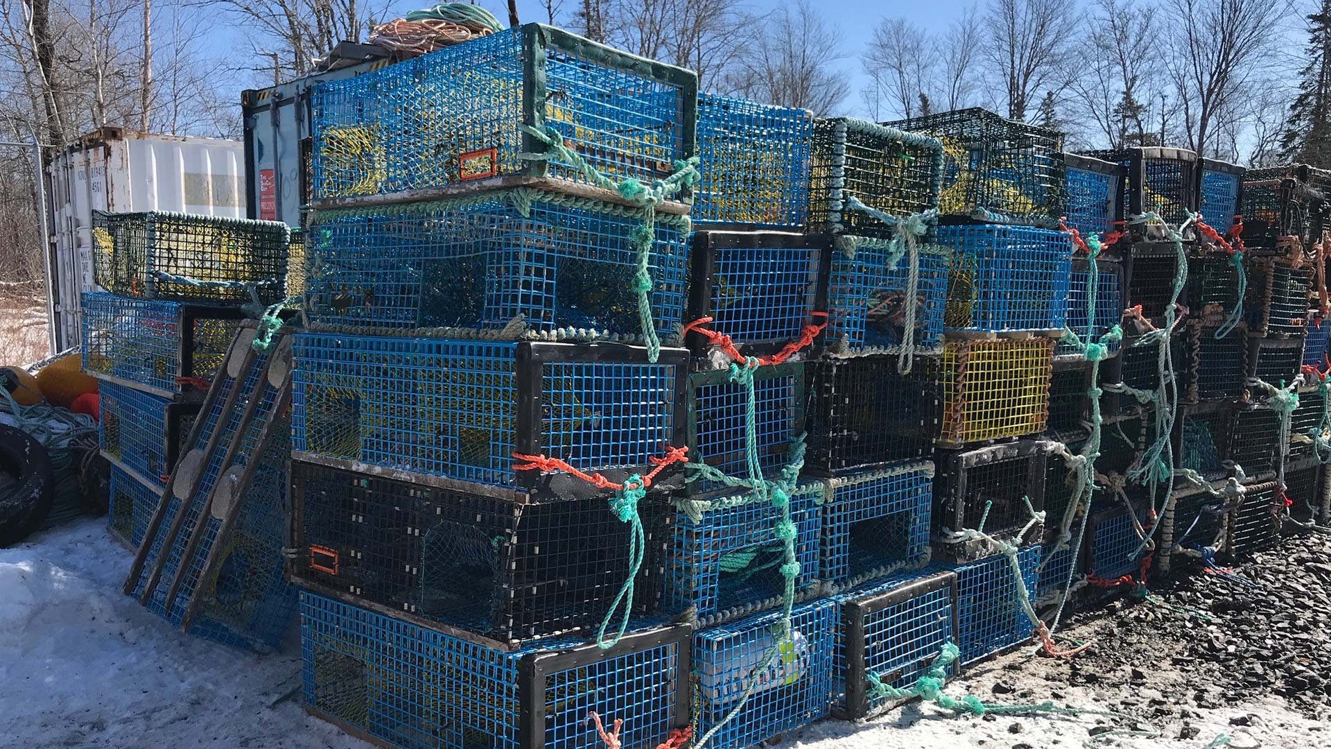 DFO proposal for moderate livelihood fishery turned down