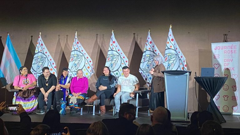 Two-Spirit pride flag unveiled at Winnipeg event