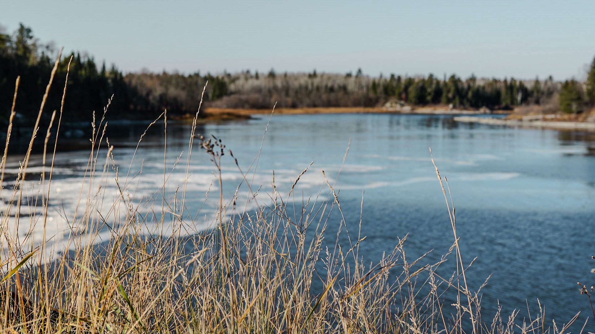 Grassy Narrows’ toxic relationship with mercury pollution