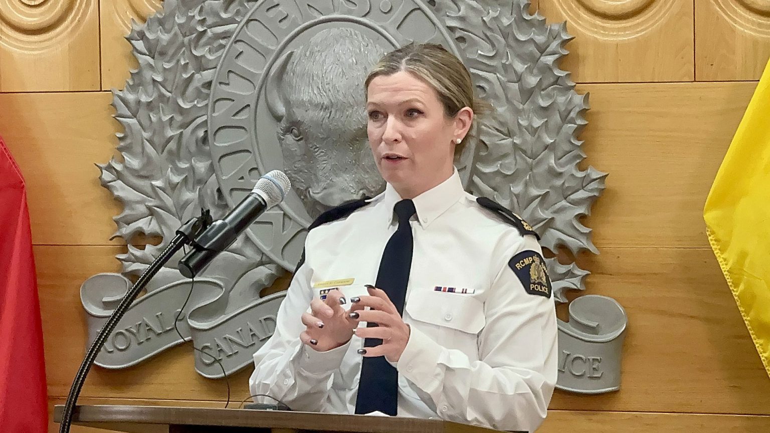 Man charged in incident at Zagime Anishinabek has history of violence ...