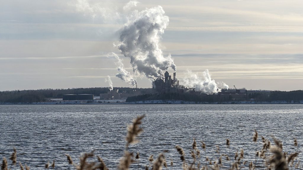 Northern Pulp seeking $2.5B in public funding to build new pulp mill