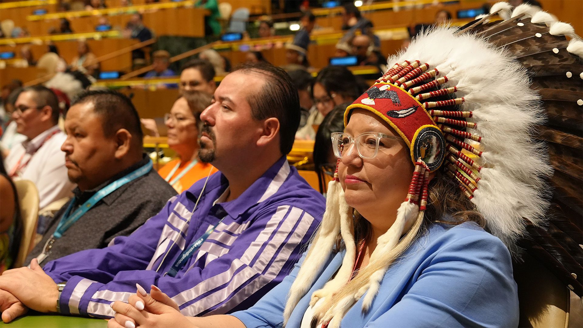 'We still own this land' says former national chief Ovide Mercredi