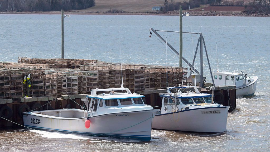 Lennox Island First Nation says loss of lobster traps was shocking