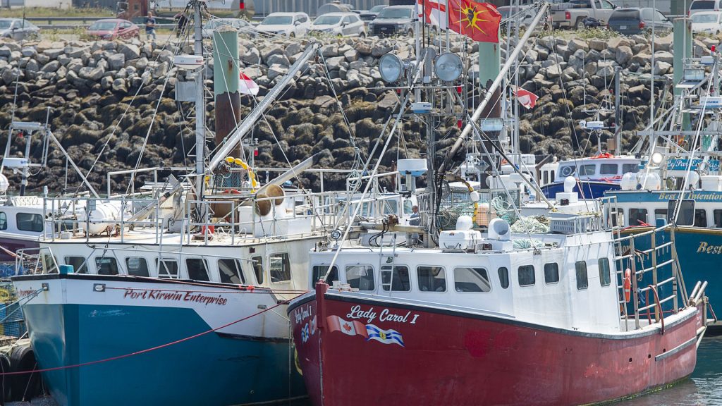 Mi'kmaq band drops legal case on N.S. lobster fishery