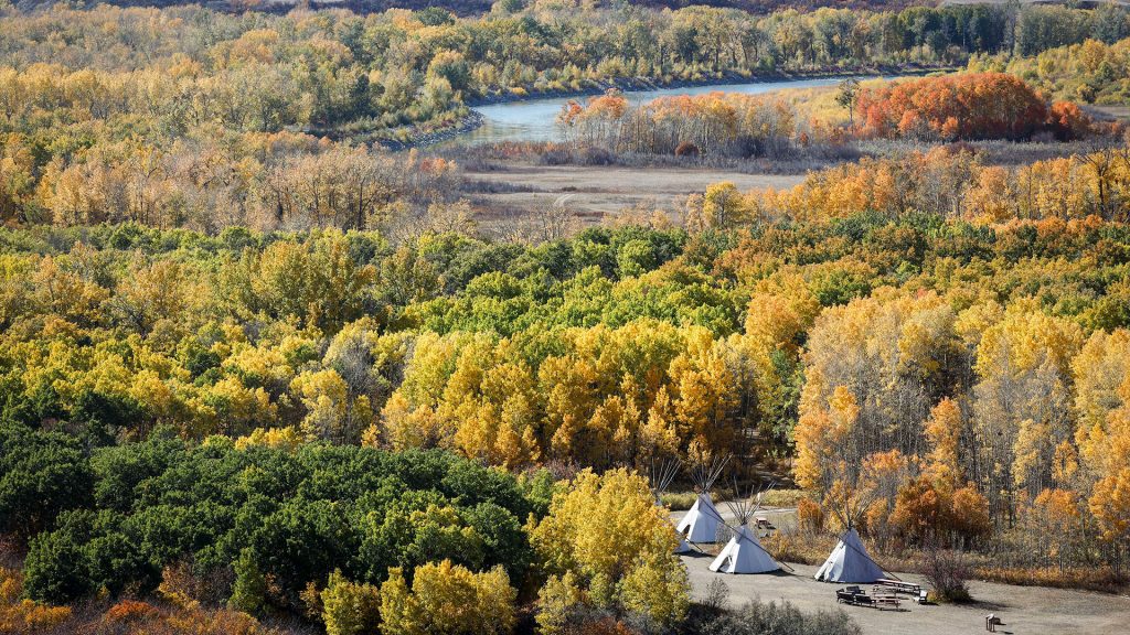 Siksika Nation seeks court ruling on Alberta ending coal mining moratorium